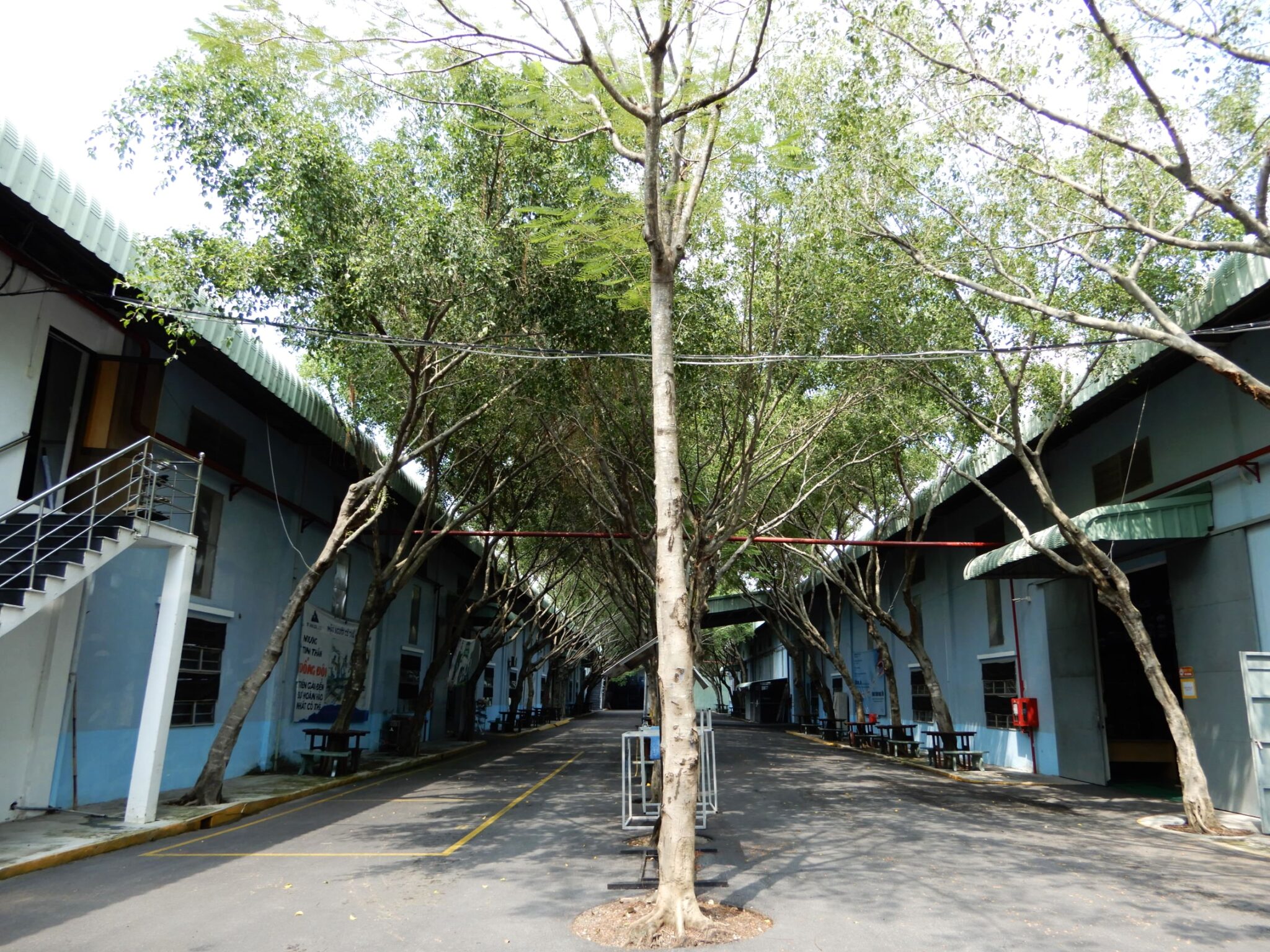 提携生産工場での業務（その4） - コンペイジ株式会社（COMPASI CO.,LTD.）